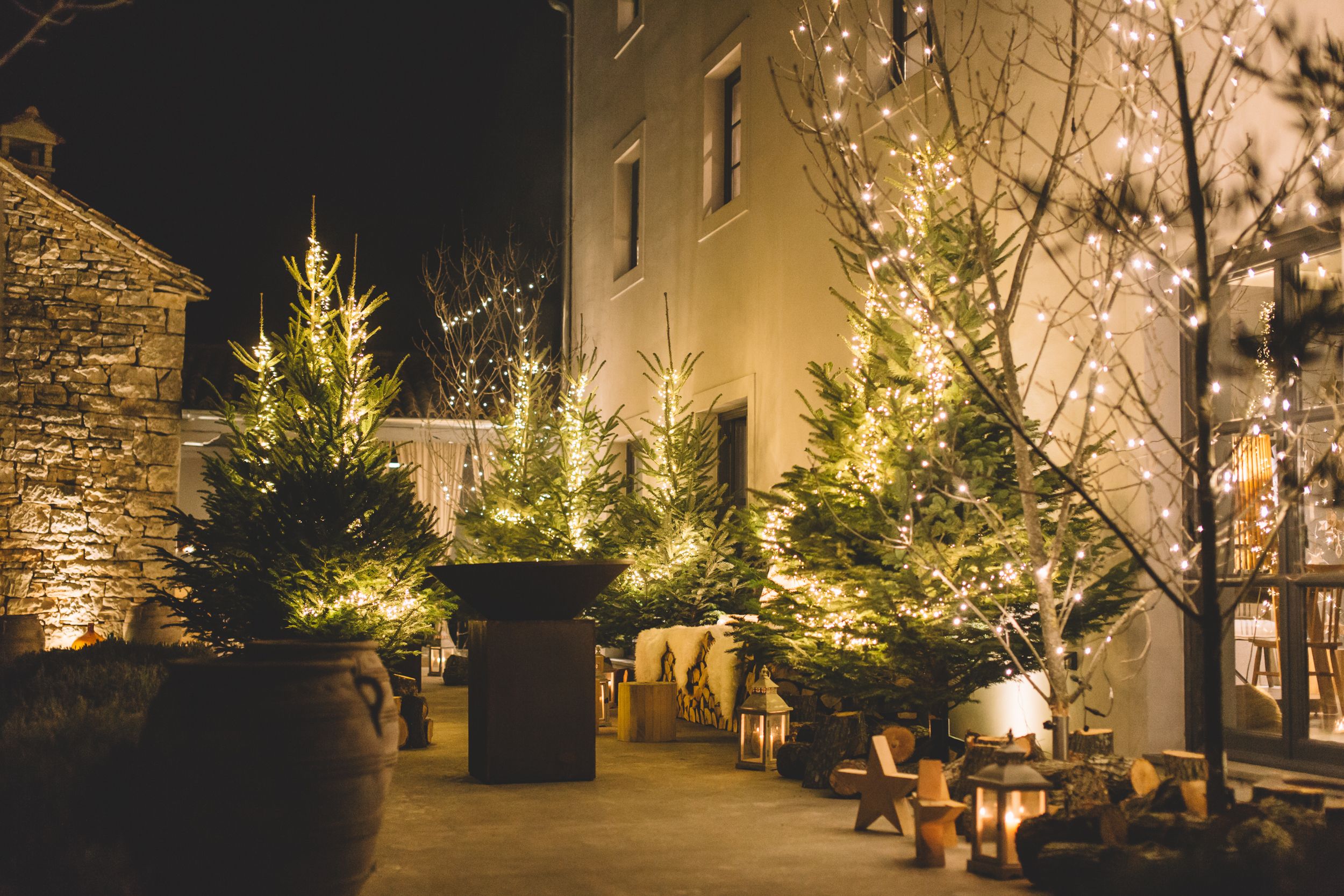 boris-ruzic-bozic (23) - dblog.hr